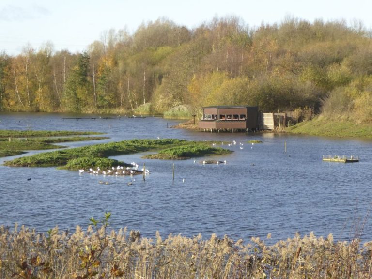 Team Building Archives - Teachwire