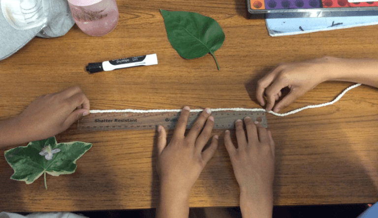 Area and perimeter – Best worksheets and ideas for KS1/2 maths - Teachwire