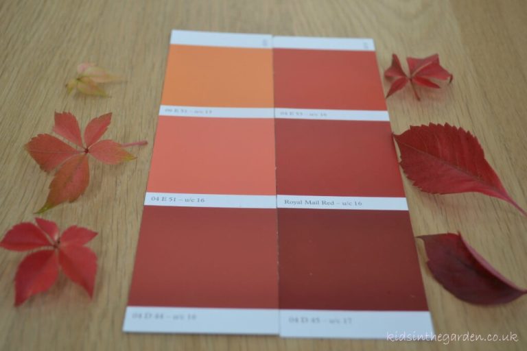 8 Reggio Emilia-inspired activities for outdoor learning and play ...