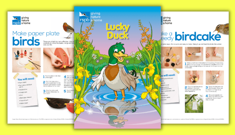 RSPB Birdwatch – 2025 school resources and survey sheets - Teachwire