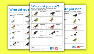 RSPB Birdwatch – 2025 school resources and counting sheets - Teachwire