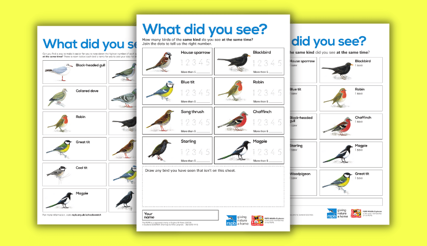RSPB Birdwatch – 2025 school resources and counting sheets - Teachwire
