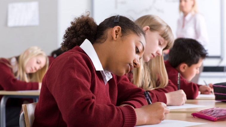 Primary Assessment English ...