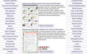 7 of the best determiners resources and worksheets for KS2 English ...