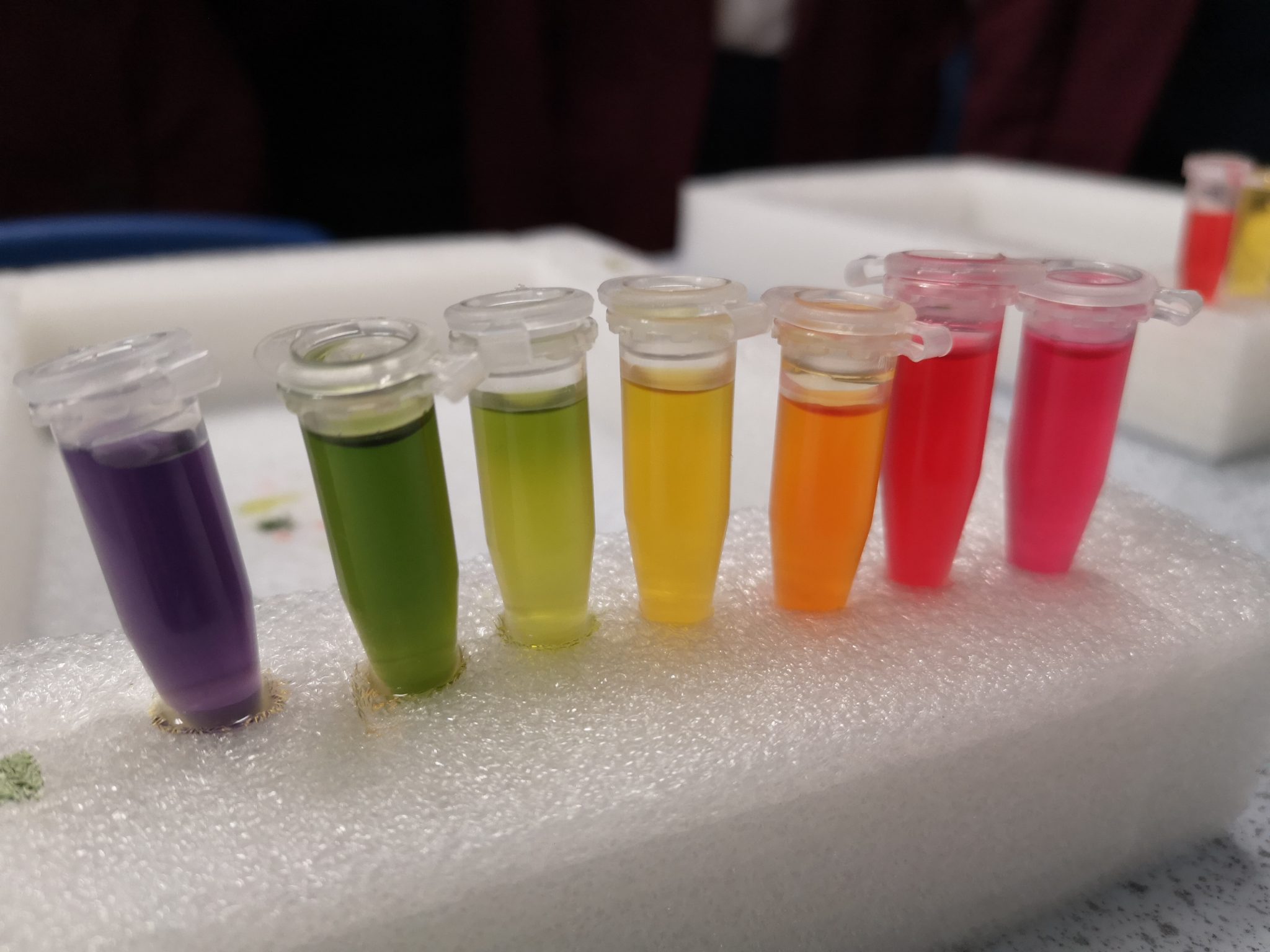 STEM Club activities, challenges and projects - Teachwire