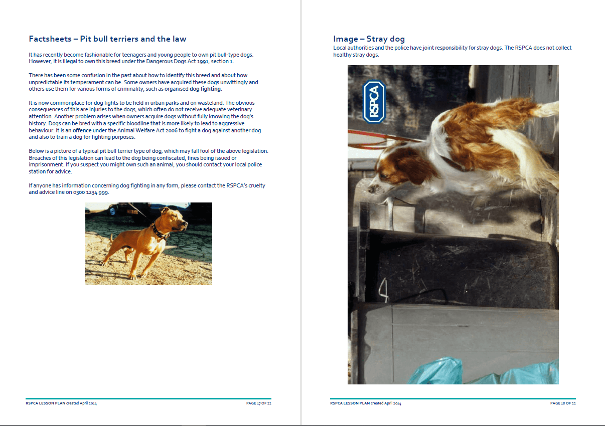 National Pet Month – 2025 lesson plans for Early Years to KS4 - Teachwire