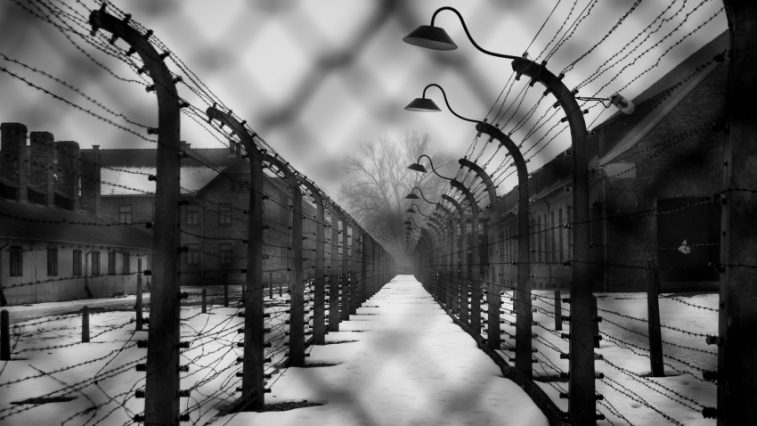 Holocaust Memorial Day teaching resources - Teachwire