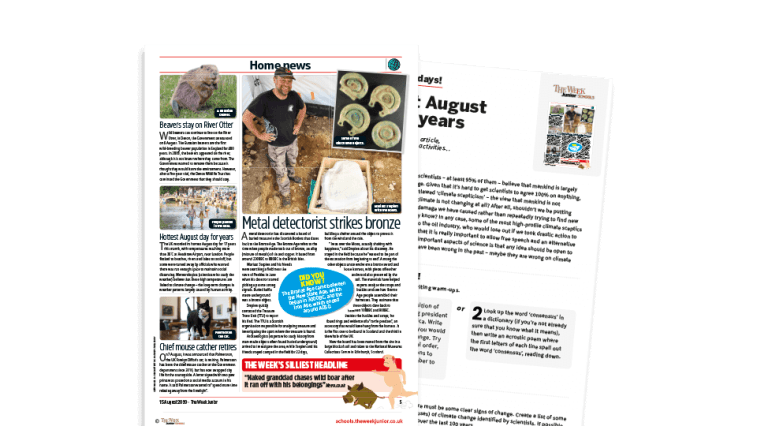 World Environment Day 2025 ideas and resources for schools - Teachwire