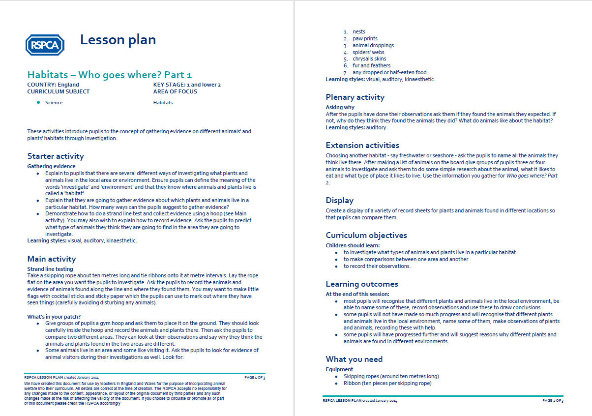 12 of the Best Summer Outdoor Learning and Play Lessons and Activities ...