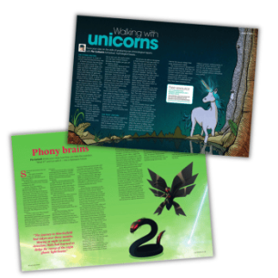 Non-chronological report – Best KS1/KS2 examples & resources - Teachwire