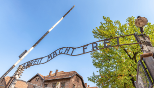 Holocaust Memorial Day teaching resources - Teachwire