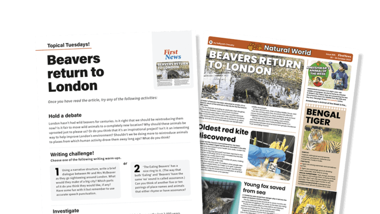 KS2 newspaper report – Best activities & resources - Teachwire