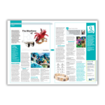 Samba music – Rio Carnival music lesson plan - Teachwire