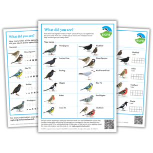 RSPB Birdwatch – 2026 school resources and survey sheets - Teachwire