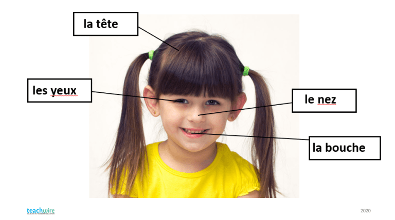 Body parts in French – Lesson plan and PowerPoint - Teachwire