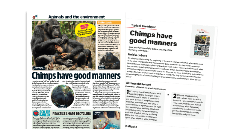 Diary entry – KS2 features, examples and lesson plans - Teachwire