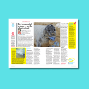 Plastic Pollution Ks2 Tracking And Combatting It Teachwire