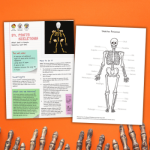 Pasta skeleton – 15-minute STEM activity for Halloween - Teachwire