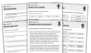KS1 reading comprehension – Worksheets and resources - Teachwire