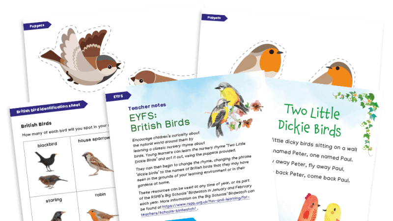 RSPB Birdwatch – 2026 school resources and survey sheets - Teachwire