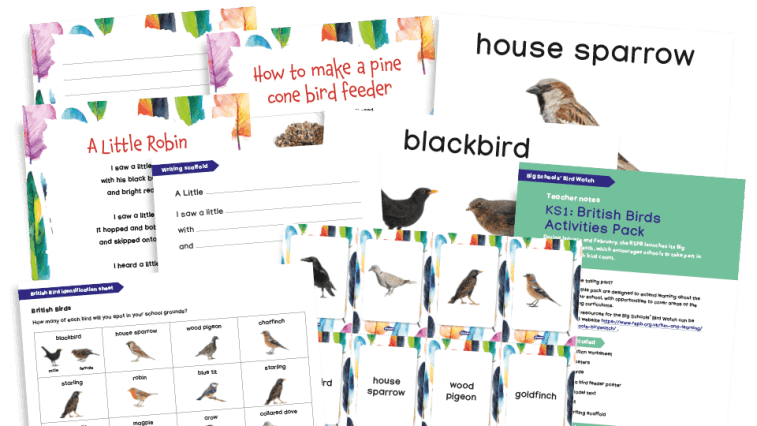 RSPB Birdwatch – 2026 school resources and survey sheets - Teachwire