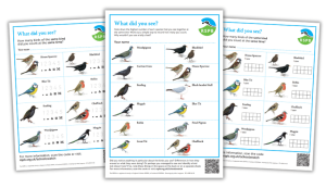 RSPB Birdwatch – 2026 school resources and survey sheets - Teachwire