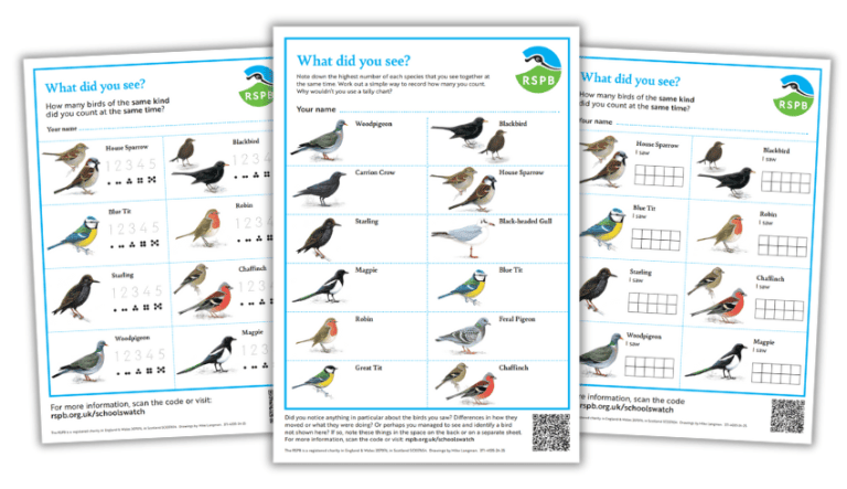 RSPB Birdwatch – 2026 school resources and survey sheets - Teachwire