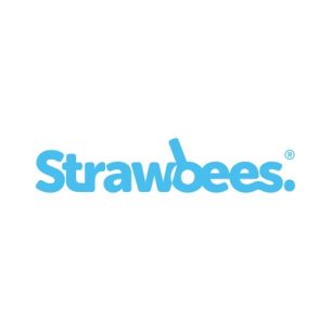 Simplify STEAM learning with Strawbees - Teachwire